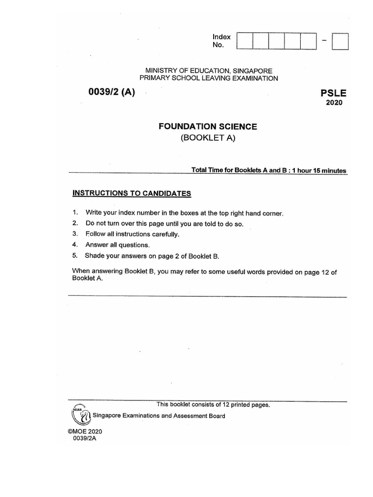 PSLE Foundation Science 2020 | PDF