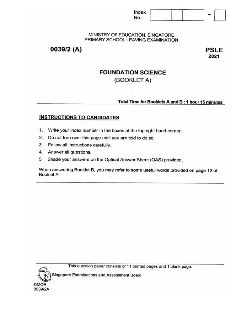 PSLE Foundation Science 2021 | PDF