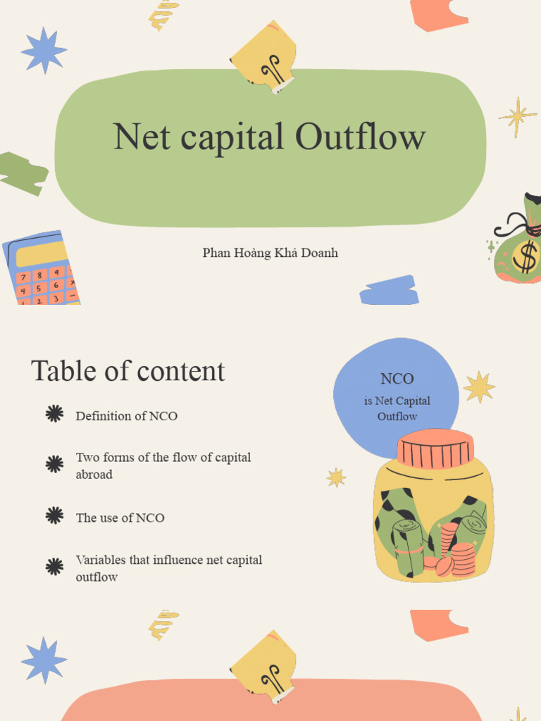 Net Capital Outflow | PDF | Investing | Bonds (Finance)