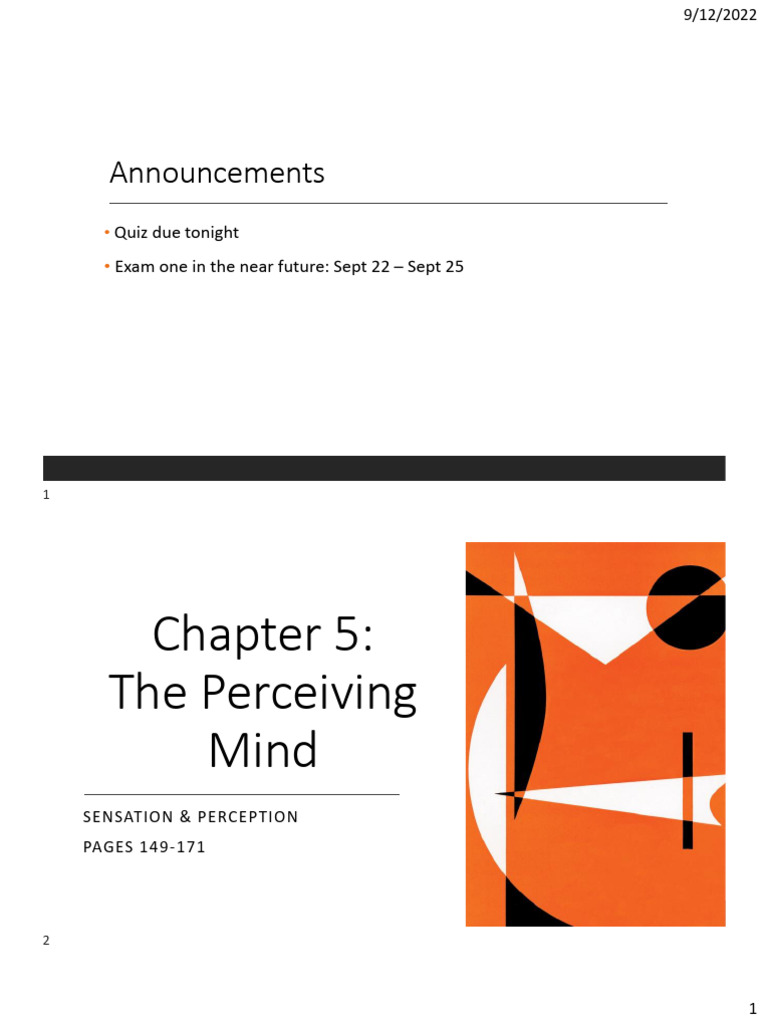 3 - Sensation and Perception - Slides | PDF | Perception | Senses