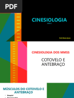 Músculo Abdutor Longo Do Polegar - Origem, Inserção - Kenhub | PDF ...