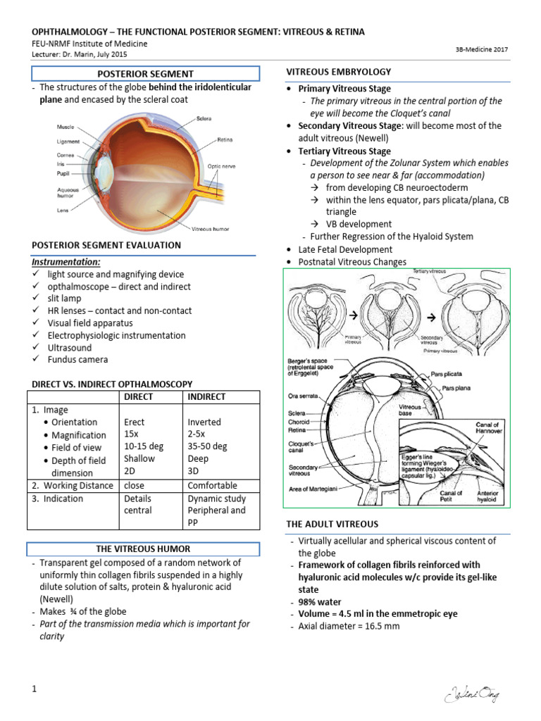 3.1 (Ophtha) Vitreous - Retina (Marin) - Wini | PDF | Retina | Medical ...