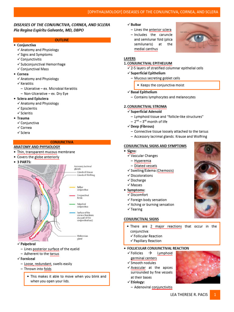 2.4diseases of The Conjunctiva, Cornea, Sclera (Pacis) | PDF | Cornea | Human Eye