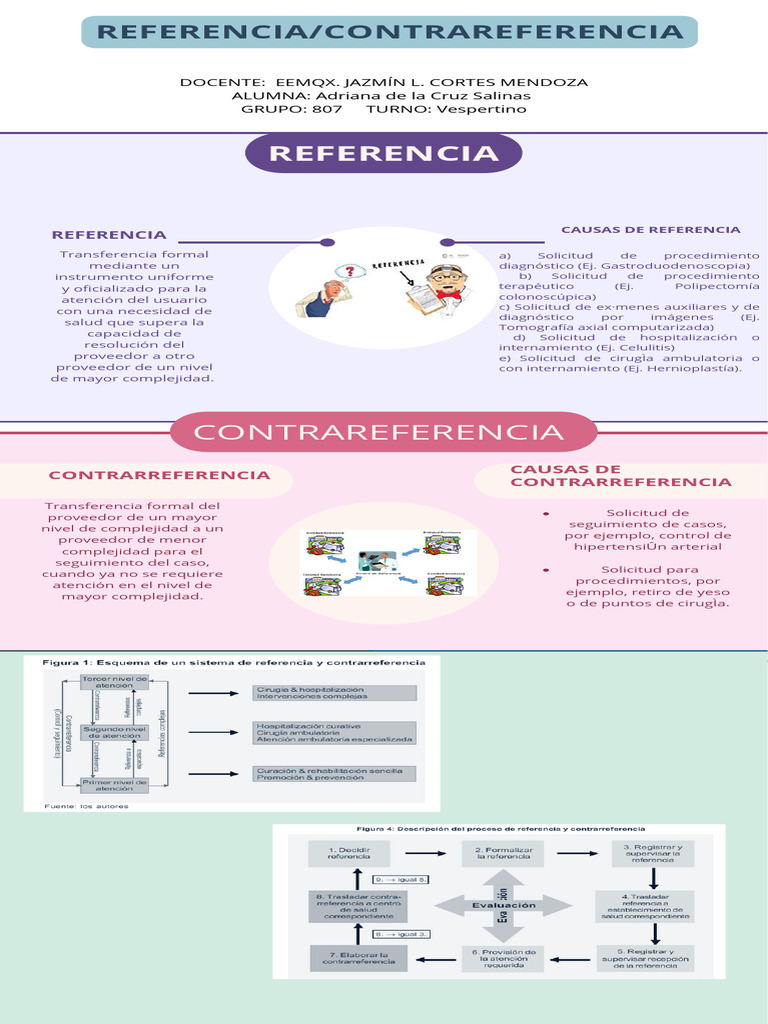 Referencia: Contrareferencia | PDF