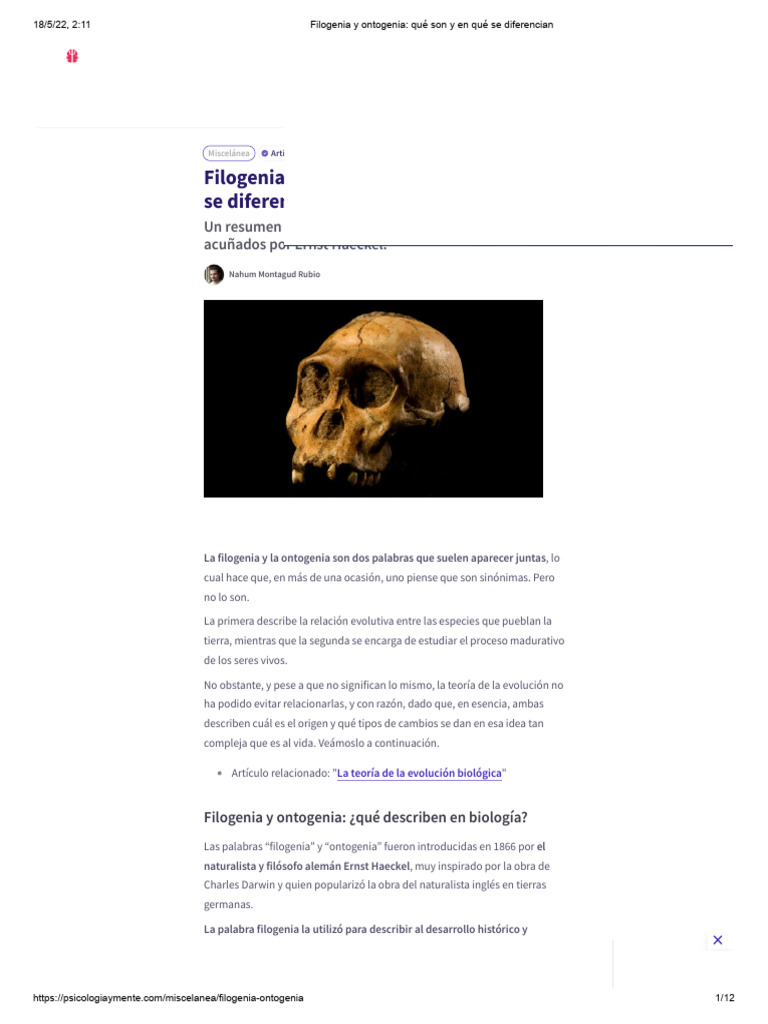Filogenia y Ontogenia - Qué Son y en Qué Se Diferencian | PDF ...