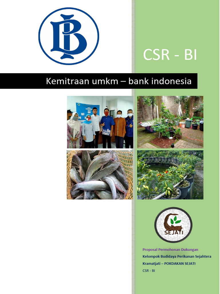 RAB Pengajuan Proposal CSR BI Lengkap | PDF