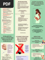 GPC Infeccion Vaginal Obstetrica | PDF | Parto prematuro | Candidiasis