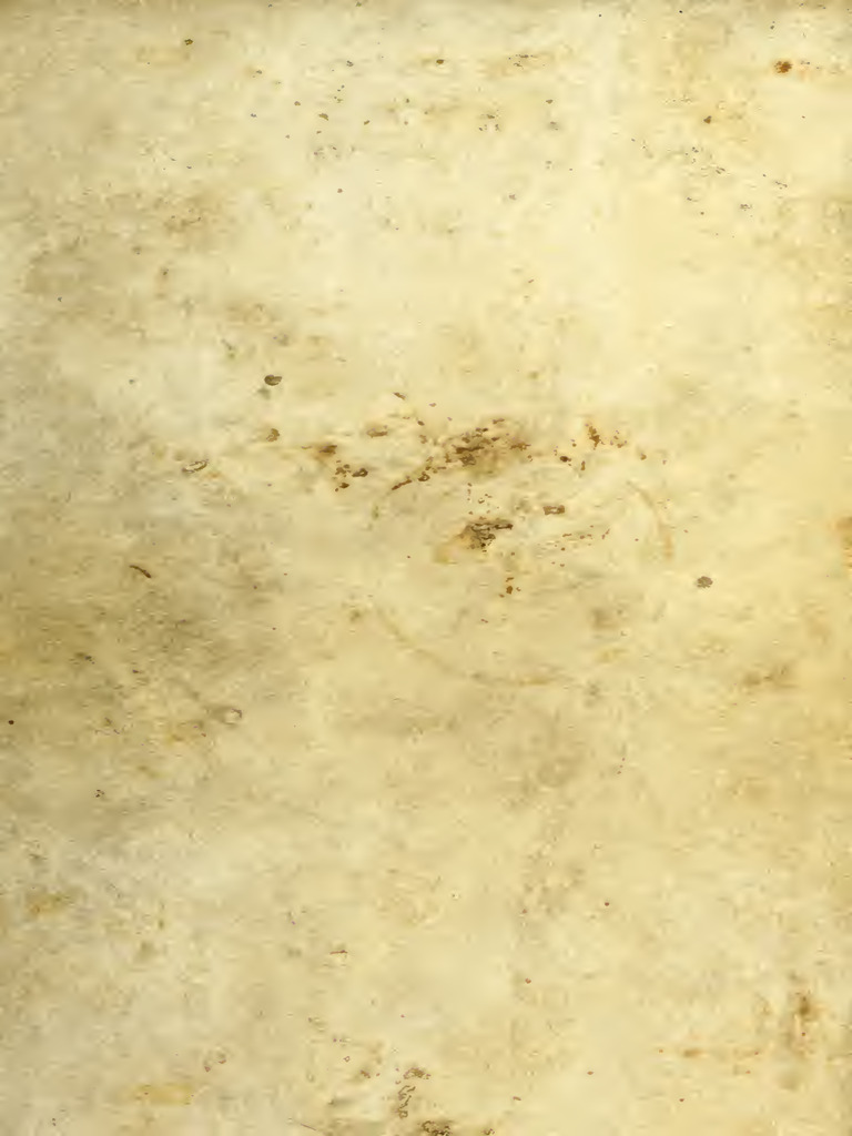 Anatomy of Human Bo 1750 Ches | PDF | Lymph | Human Anatomy