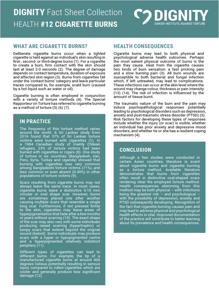 Cigaretteburns Factsheet English | PDF | Burn | Torture