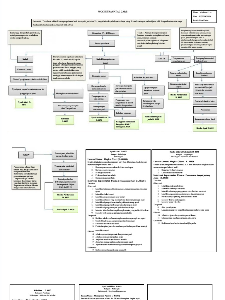 PDF Woc Intranatal Care Compress | PDF