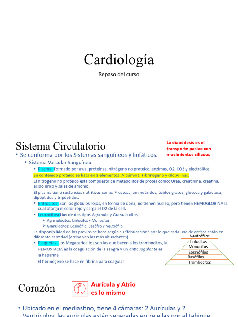 Cardiología Pdf Ventrículo Corazón Corazón
