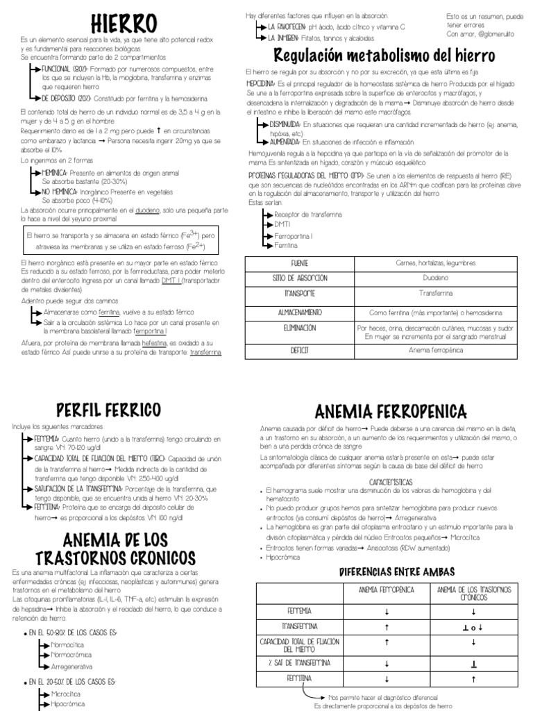 3 Hierro | PDF | Especialidades Medicas | Biología