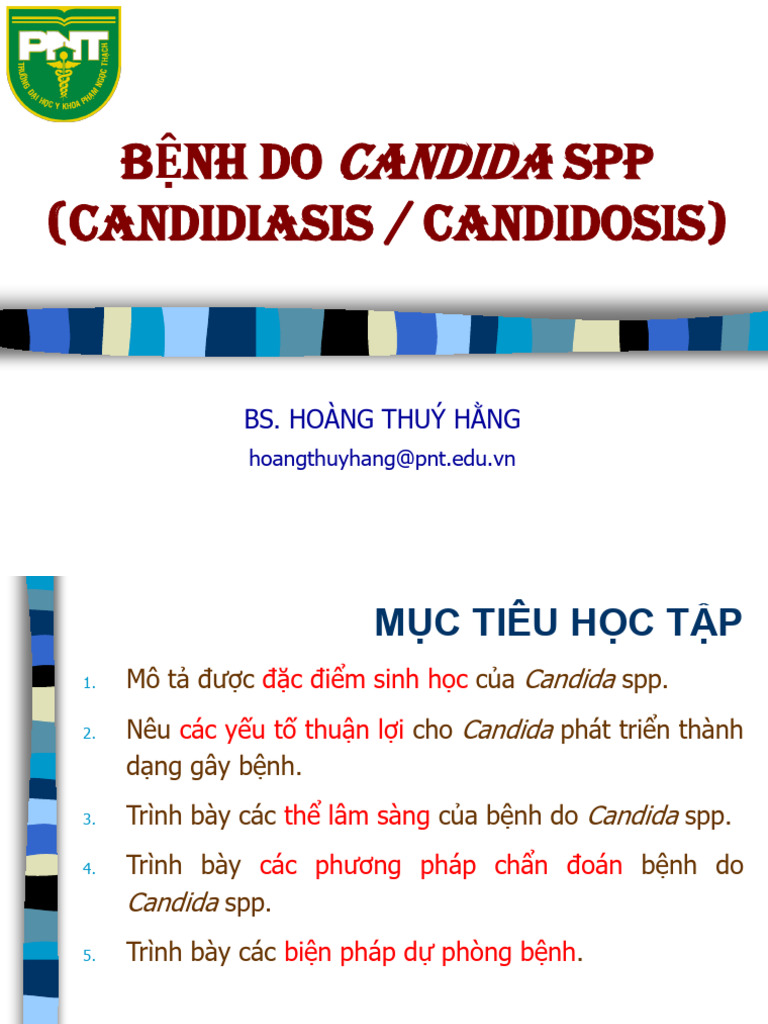 CNDD LT Candida 2023-2024 | PDF
