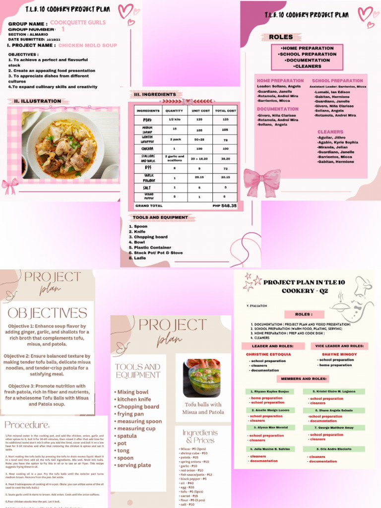 Project Plan Sy 2023-2024 | PDF