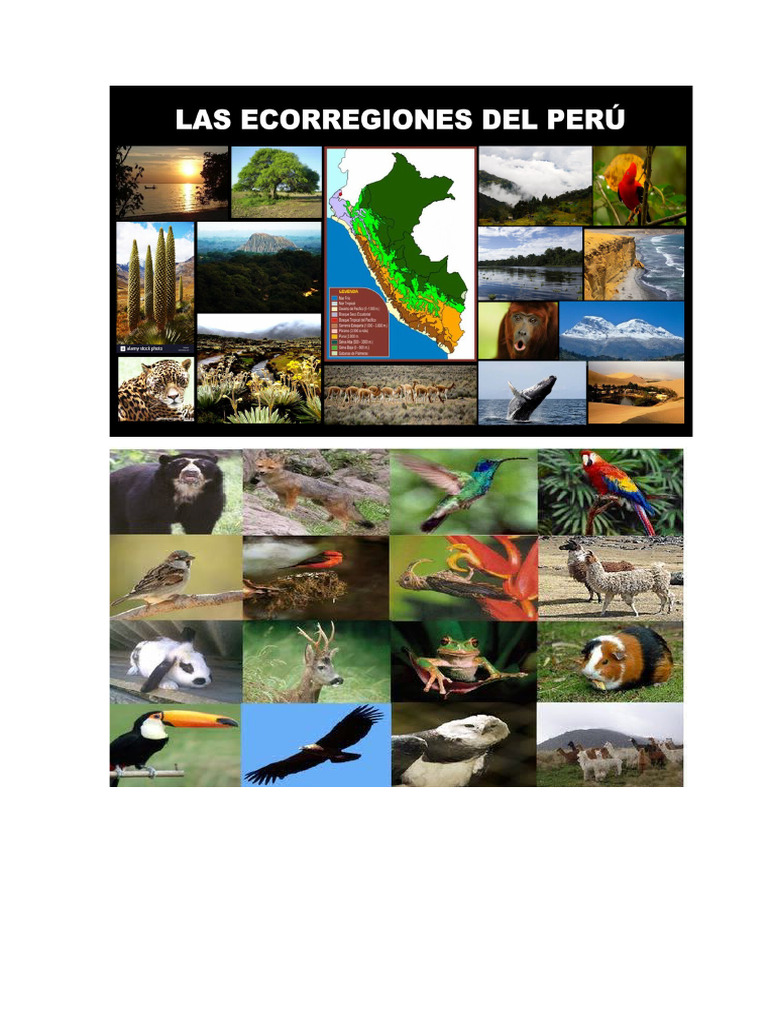 Doc1.docx Biodiversidad | PDF