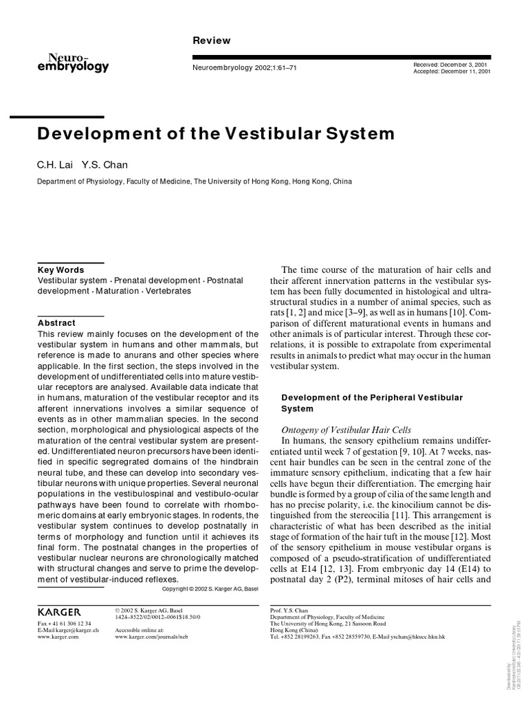 Developmento of Vestibular System | PDF | Spinal Cord | Motor Neuron