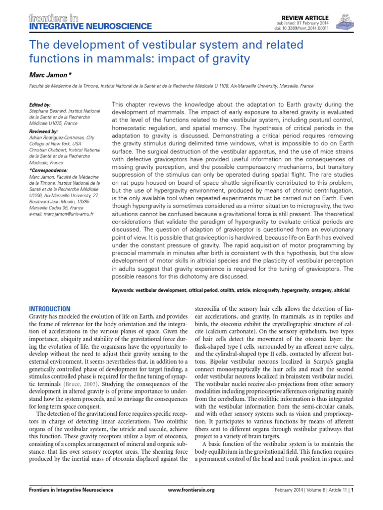 Development of Vestibular System and Related Functions in Mammals ...