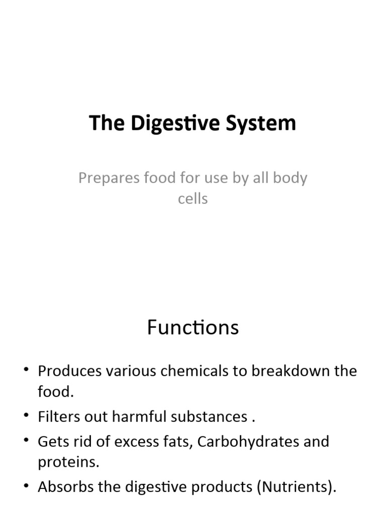 Digestive System-Organ | PDF | Digestion | Stomach