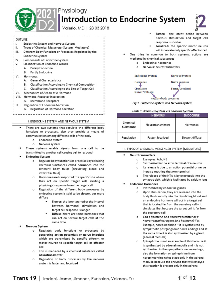 PHYS - 2S19 - Introduction To Endocrine System | PDF | Endocrine System ...