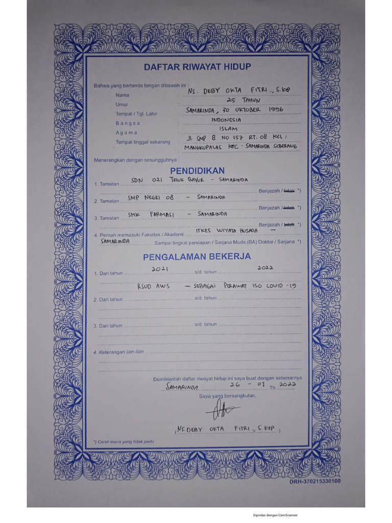 Curiculum Vintage | PDF