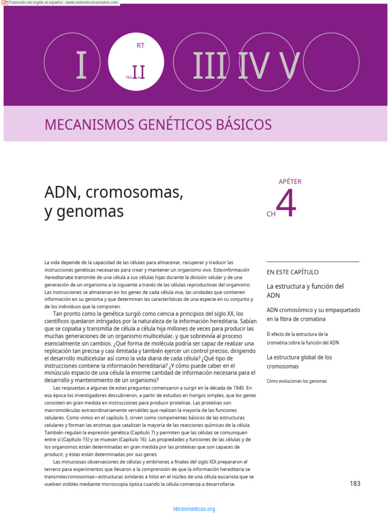 Cap 4 DNA, Cromosomas, Genes - En.es | PDF | Adn | Gene
