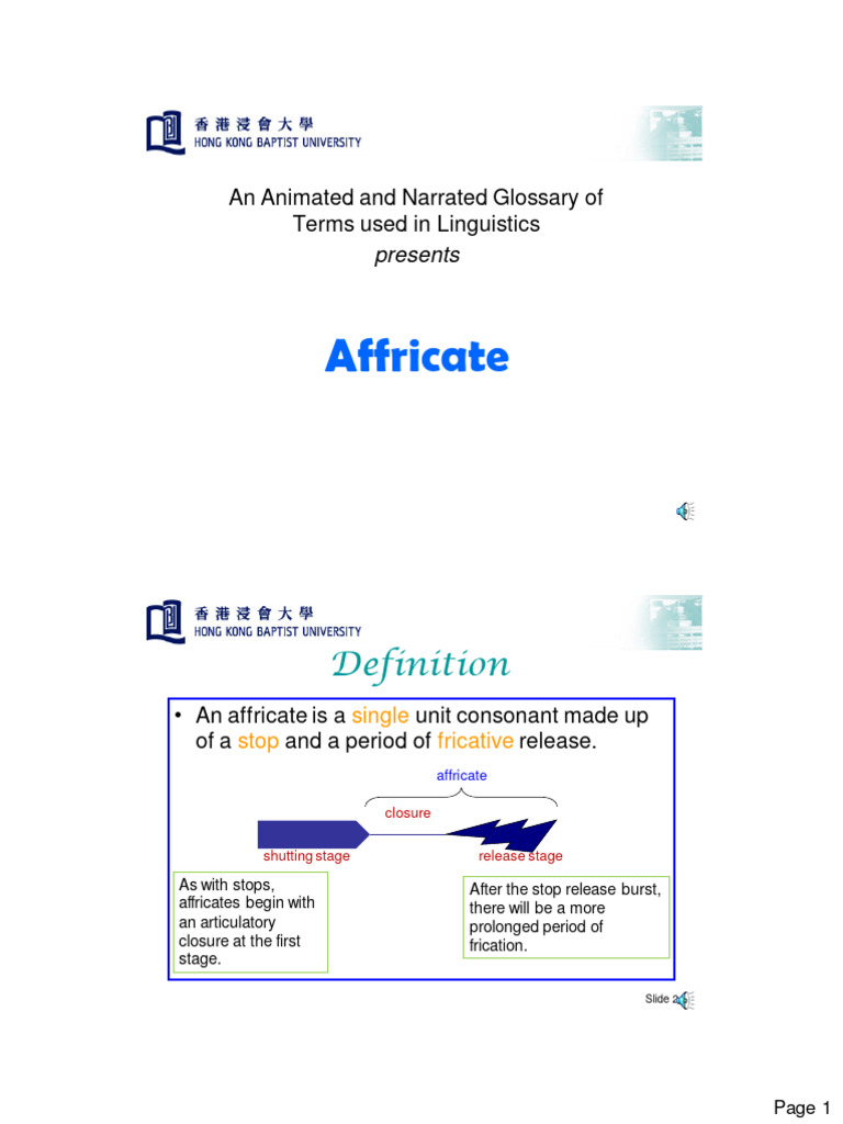 Affricate | PDF | Human Voice | Phonetics