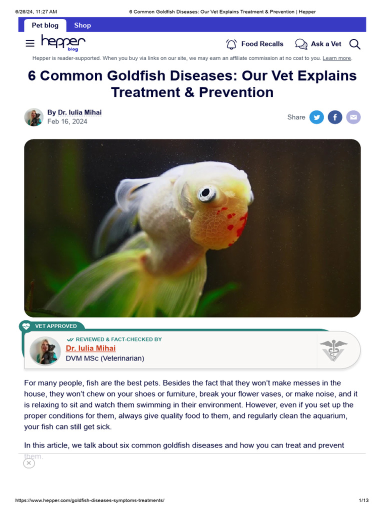 Goldfish diseases | PDF | Infection | Aquarium