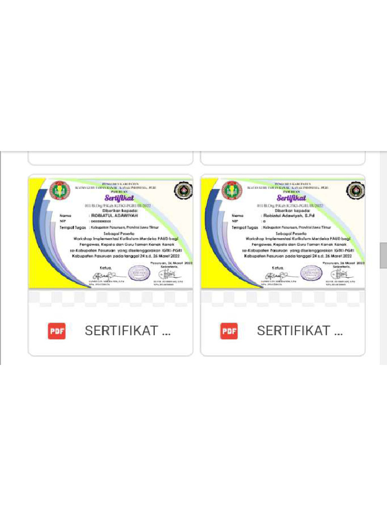 Sertifikat Workshop | PDF