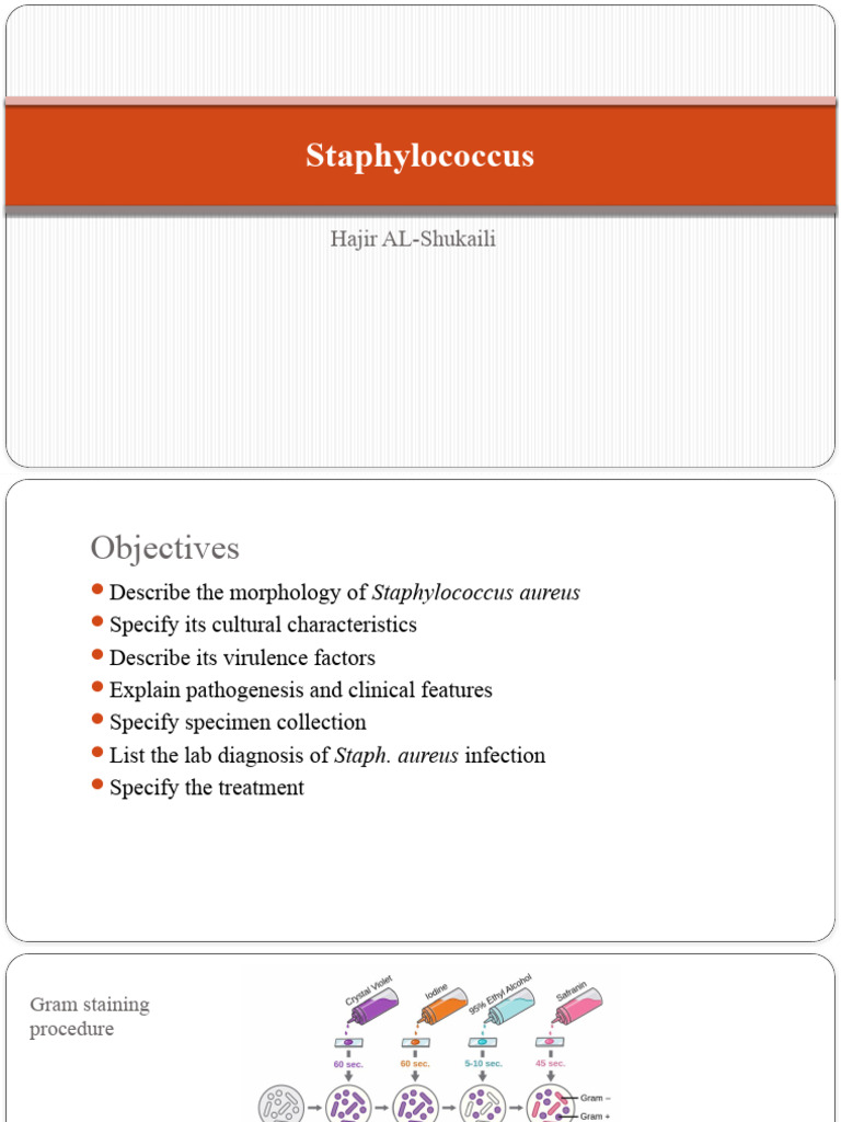 Staphylococcus | PDF | Staphylococcus | Staphylococcus Aureus
