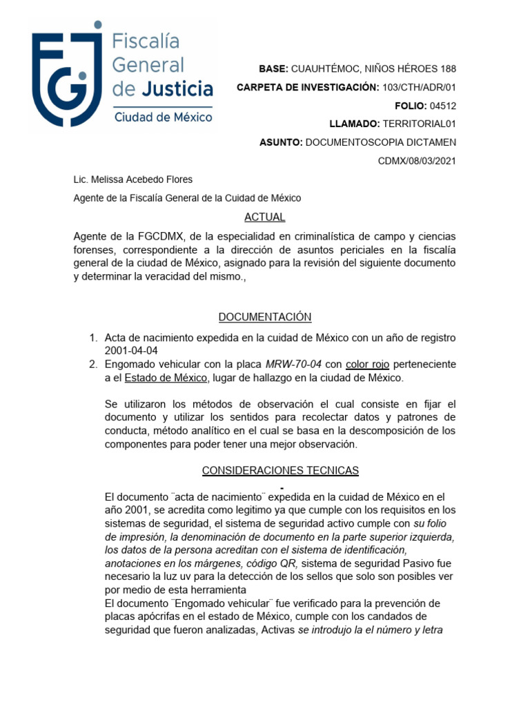 Verificación de Documentos en CDMX | PDF