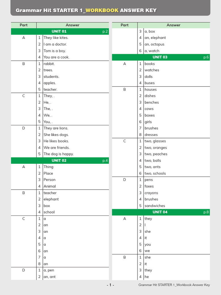 Grammar Hit Starter 1 Workbook Answer Key | PDF