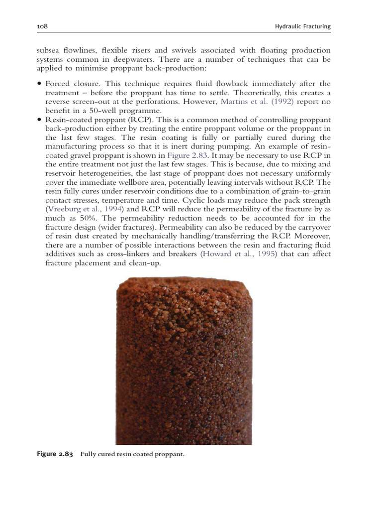 Martins Et Al. (1992) : Hydraulic Fracturing | PDF | Home & Garden | Science & Mathematics