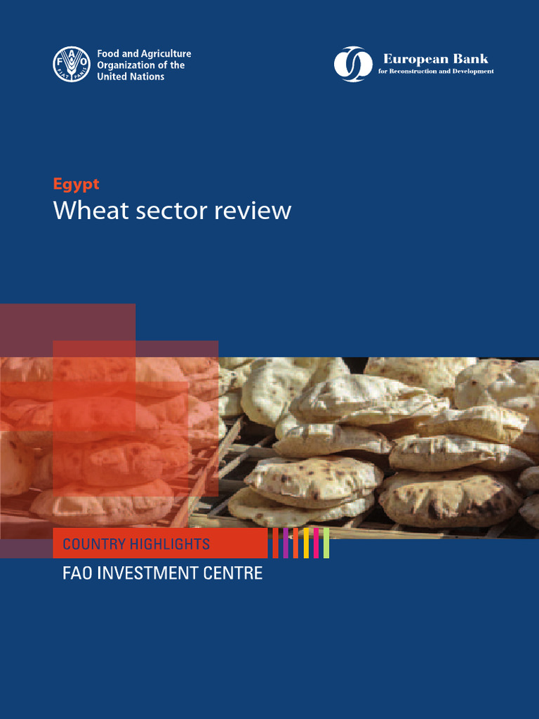 Wheat Study Egypt | PDF | Wheat | Subsidy