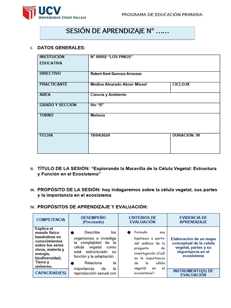 Esquema Sesión 2024 Práctica PP Ciencia y Ambiente | PDF | Plantas | Evaluación