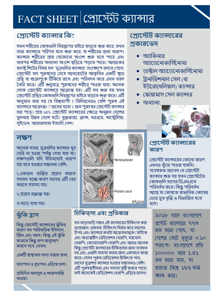 Rawshan Tabbasum Etika Asg 2 Bangla Version Bio | PDF