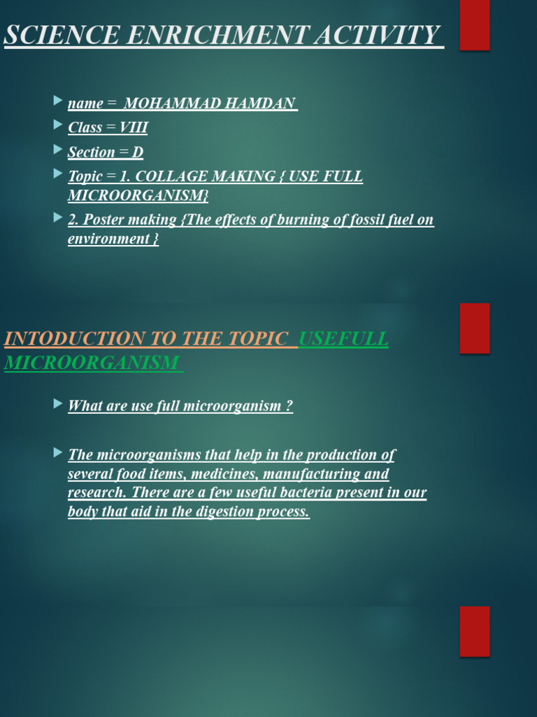 Science Enrichment Activity | PDF | Science & Mathematics | Technology ...