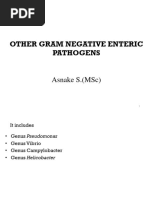 Gram-Negative Curved Rods Overview | PDF | Cholera | Immunology
