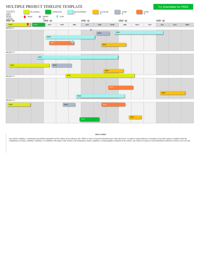 IC Multiple Project Timeline 10649 - WORD | PDF