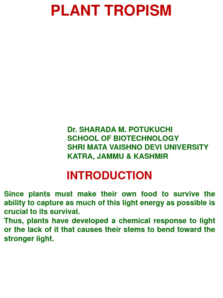 Tropism in Plants | PDF | Biology | Organisms