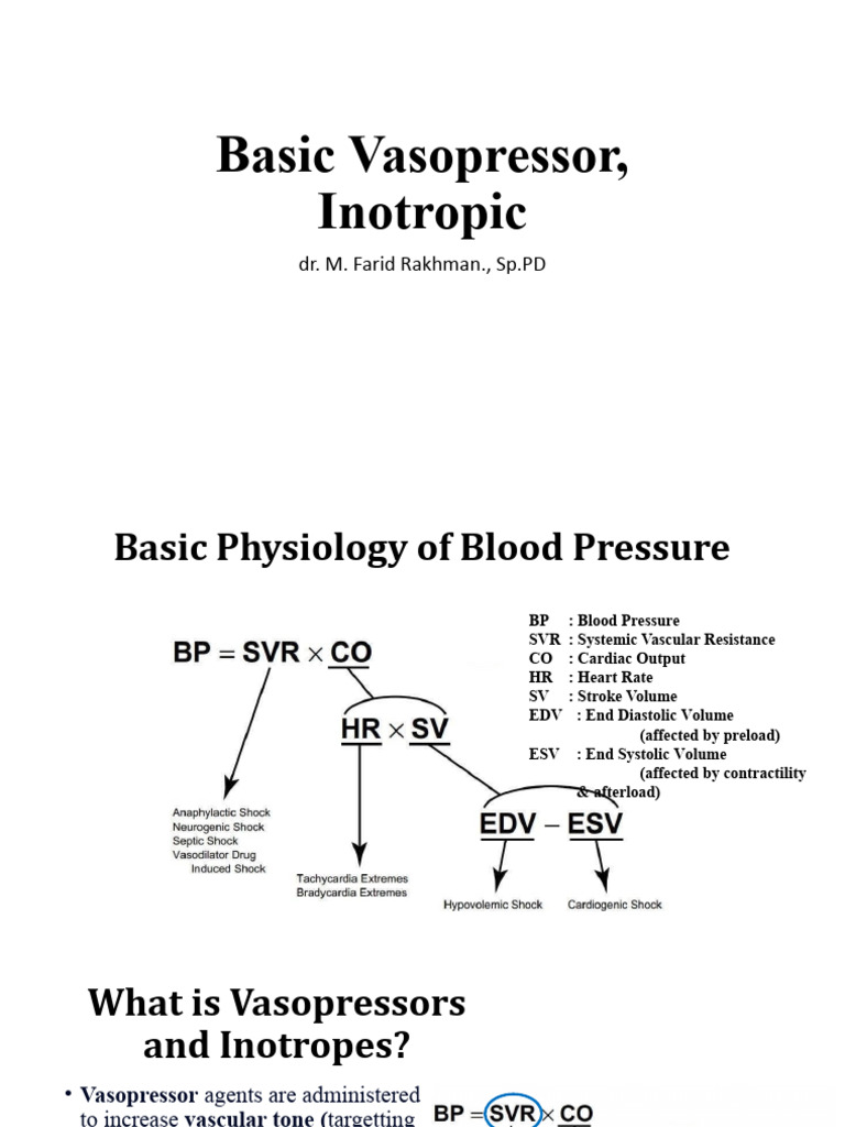 Basic Vasopressor and Inotropic | PDF | Blood Pressure | Norepinephrine