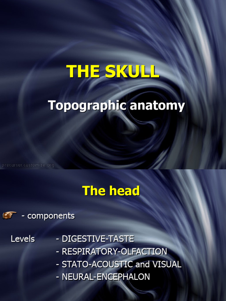 Skull | PDF | Skull | Human Nose