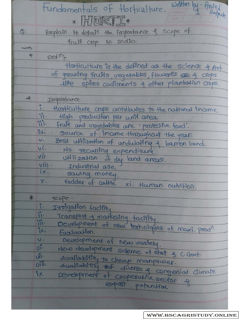 Hort 111 Handwritten Note | PDF