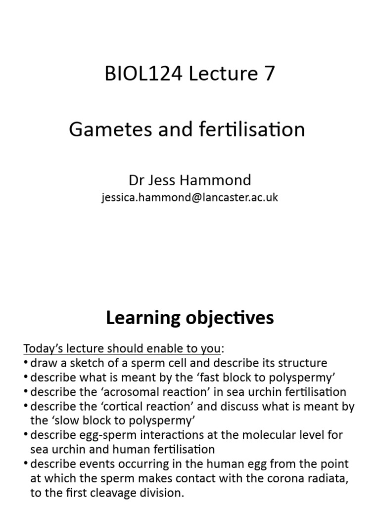 Biol 124 Lecture 7 Gametes And Fertilisation Jh Pdf Fertilisation