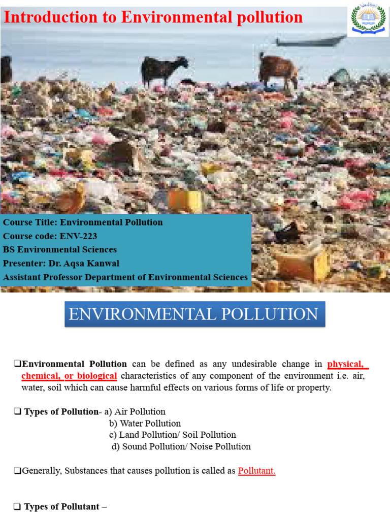 Environmental-Pollution | PDF | Pollution | Water Pollution