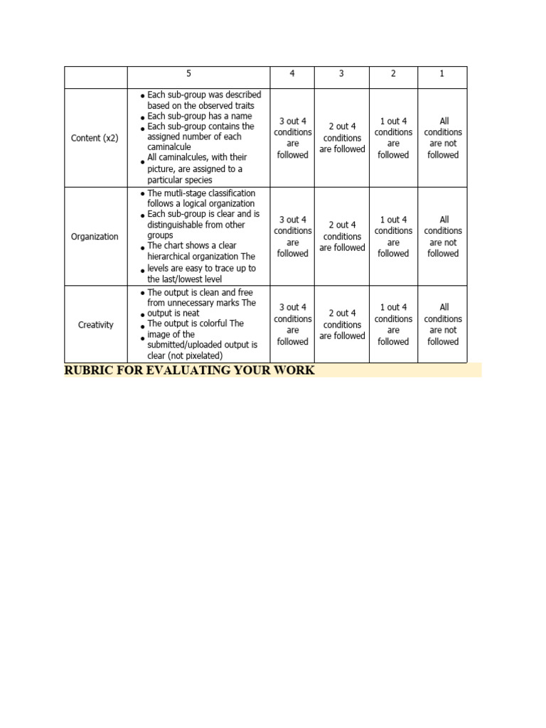 RUBRICS-CAMINALCULES | PDF | Computer Graphics | Graphics