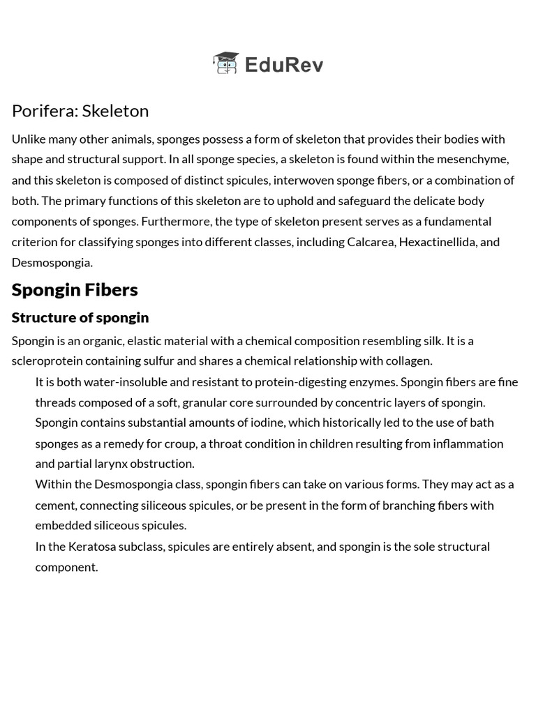 Types of Porifera Skeletons Explained | PDF | Sponge