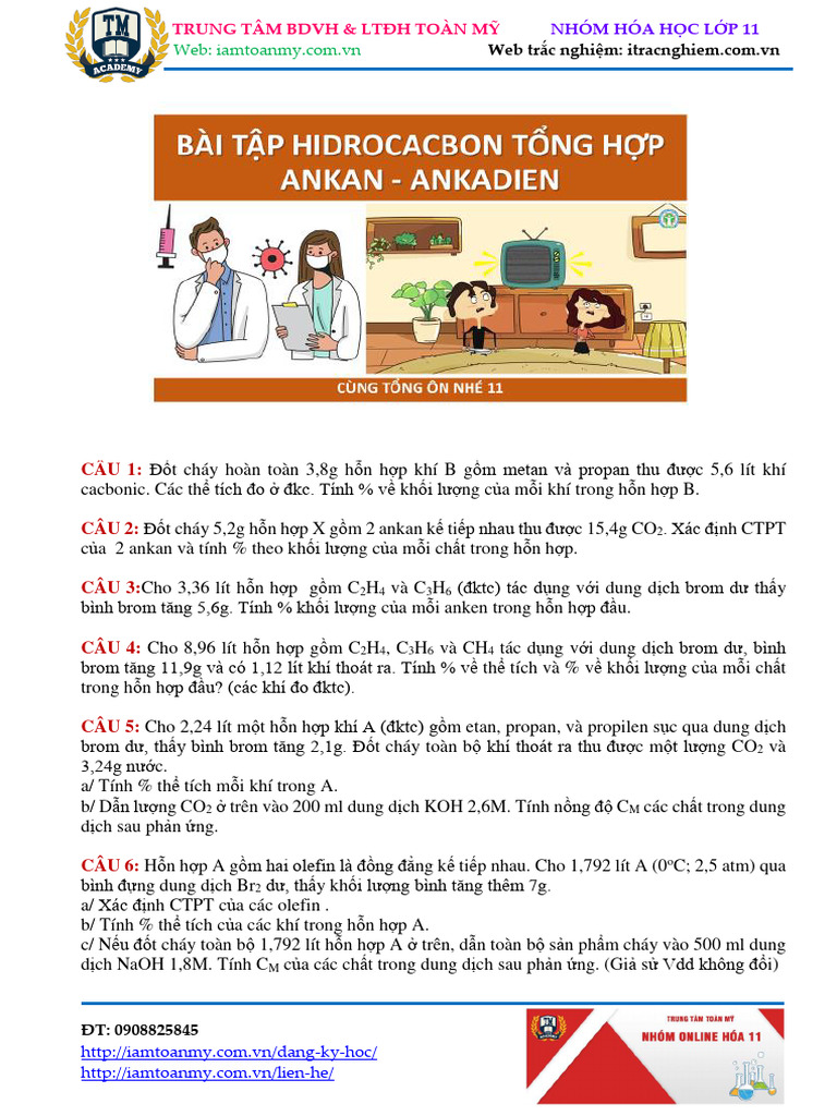 BÀI TẬP ANKAN ANKIN | PDF