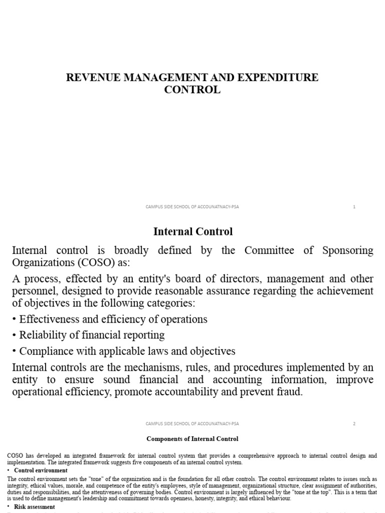 PSA 2 BUDGET 1 | PDF | Internal Control | Expense