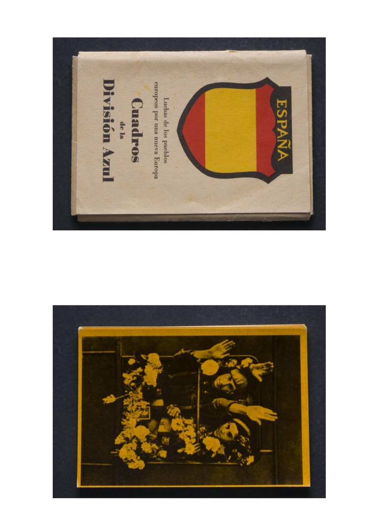 Division Azul | PDF