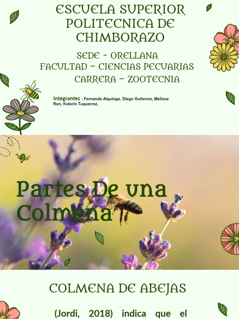 Partes de La Colmena | PDF | Colmena | Western Honey Bee